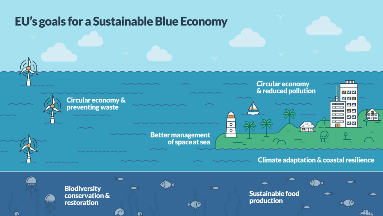 Blue Economy and the maritime sector